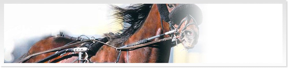 Racing – The Walsh Company, Inc.