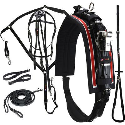 PRO II 1800 Harness - Complete - US Style - 1800H – The Walsh Company, Inc.